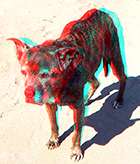 3dDigitalPhoto.Com -- Image of the Week