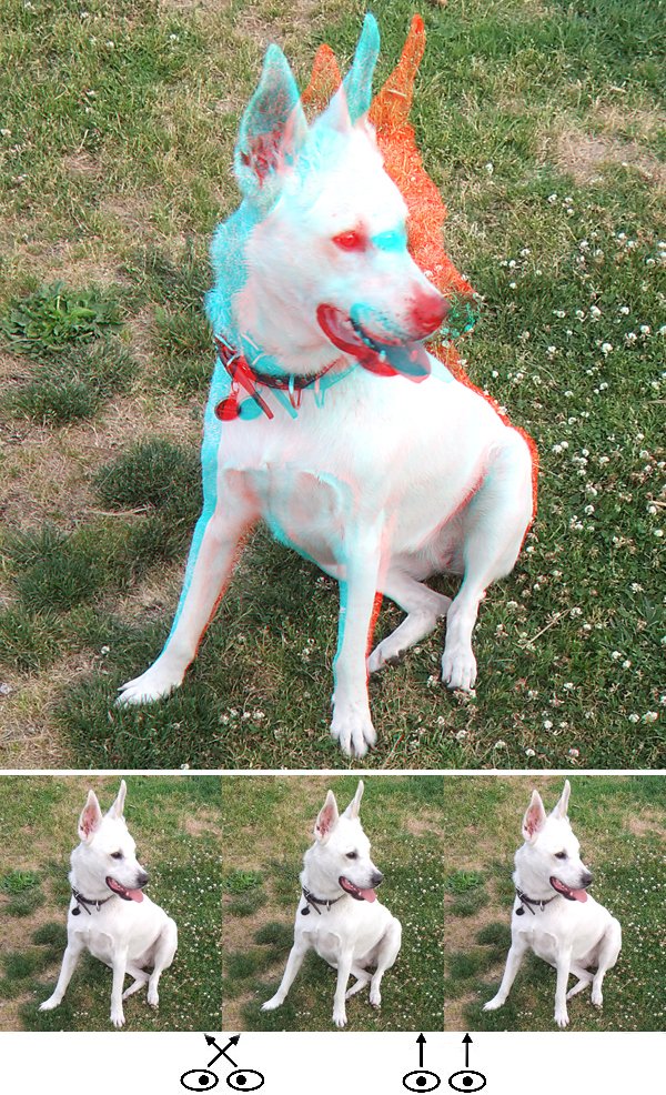 3dDigitalPhoto.Com -- Image of the Week