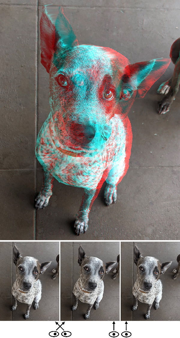 3dDigitalPhoto.Com -- Image of the Week