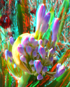 3dDigitalPhoto.Com -- Image of the Week