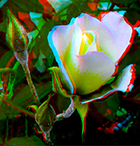 3dDigitalPhoto.Com -- Image of the Week