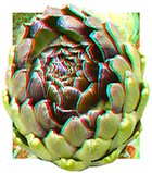 3dDigitalPhoto.Com -- Image of the Week