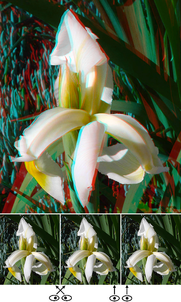 3dDigitalPhoto.Com -- Image of the Week